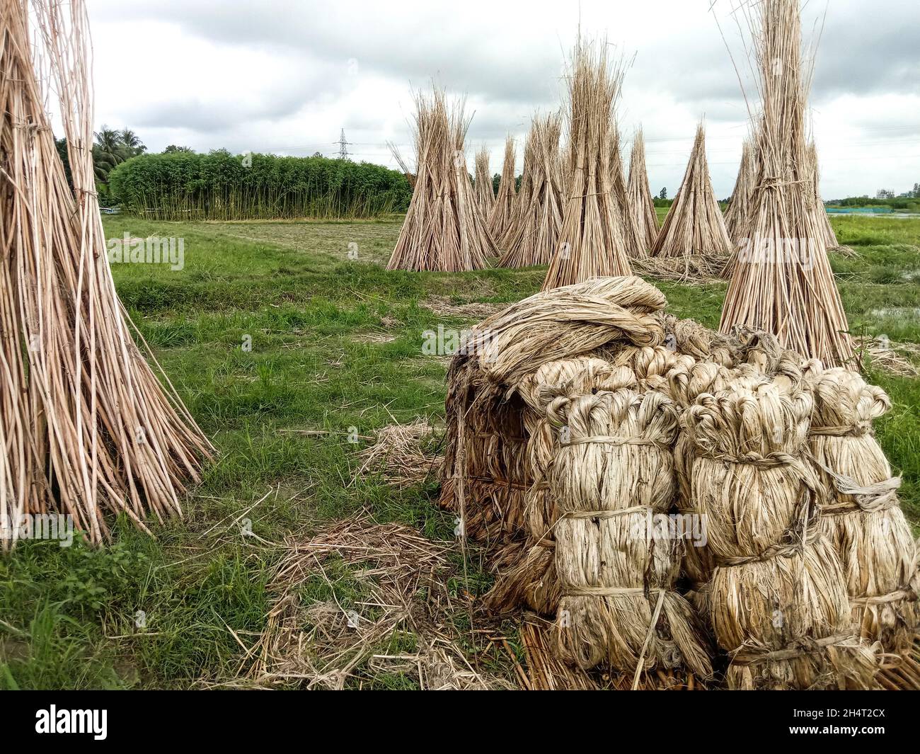 Fivers High Resolution Stock Photography and Images - Alamy