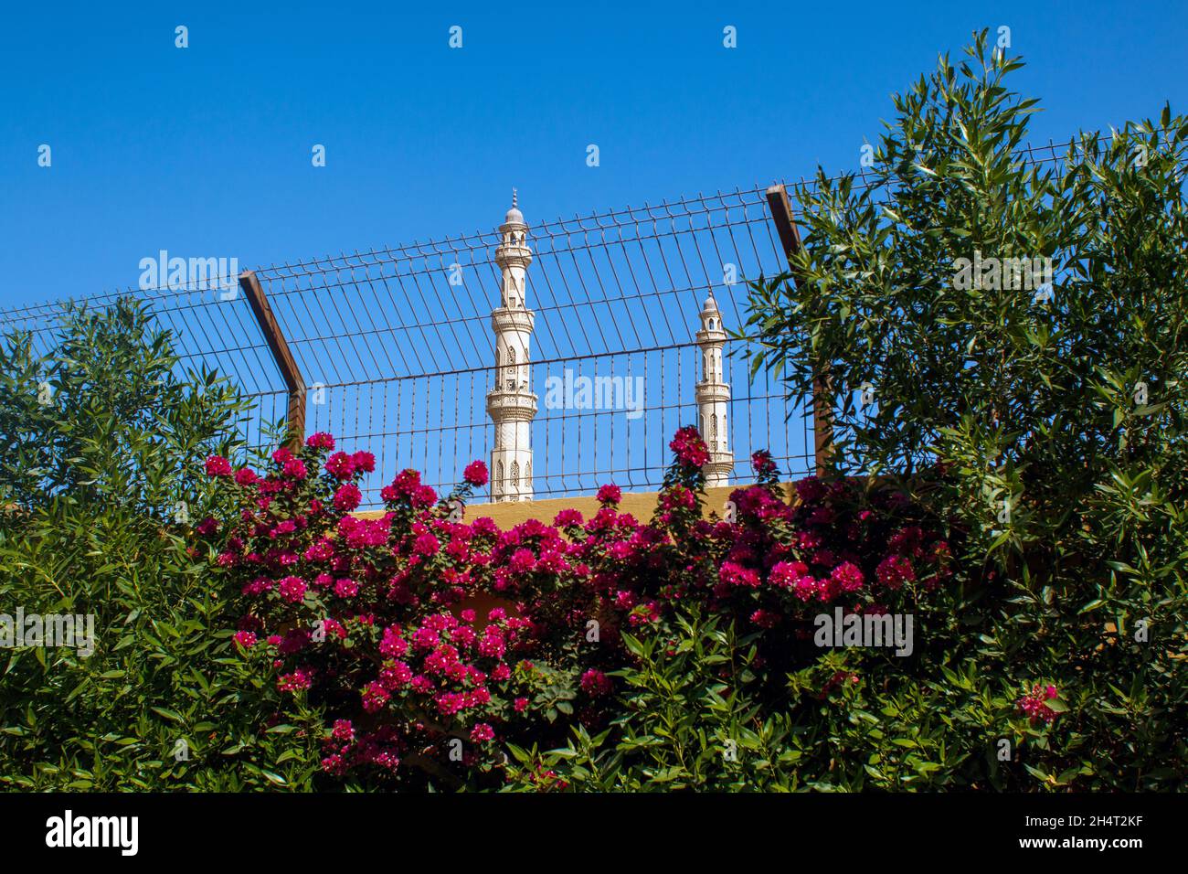 HURGHADA, EGYPT - OCTOBER 31, 2021 - 40m-tall minarets of El Mina ...