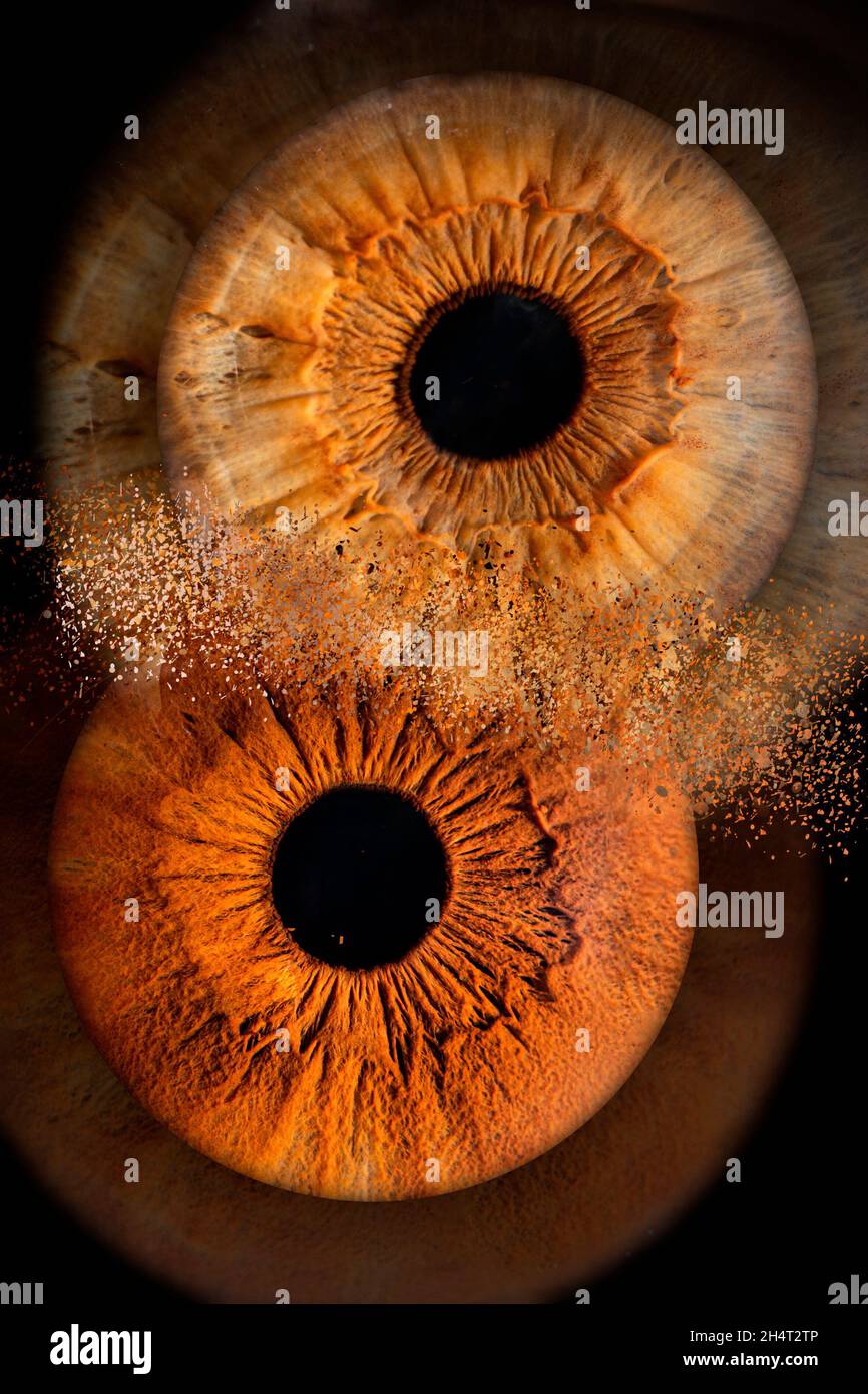 photo of two eyes taken in macro mode, of different persons and same ...