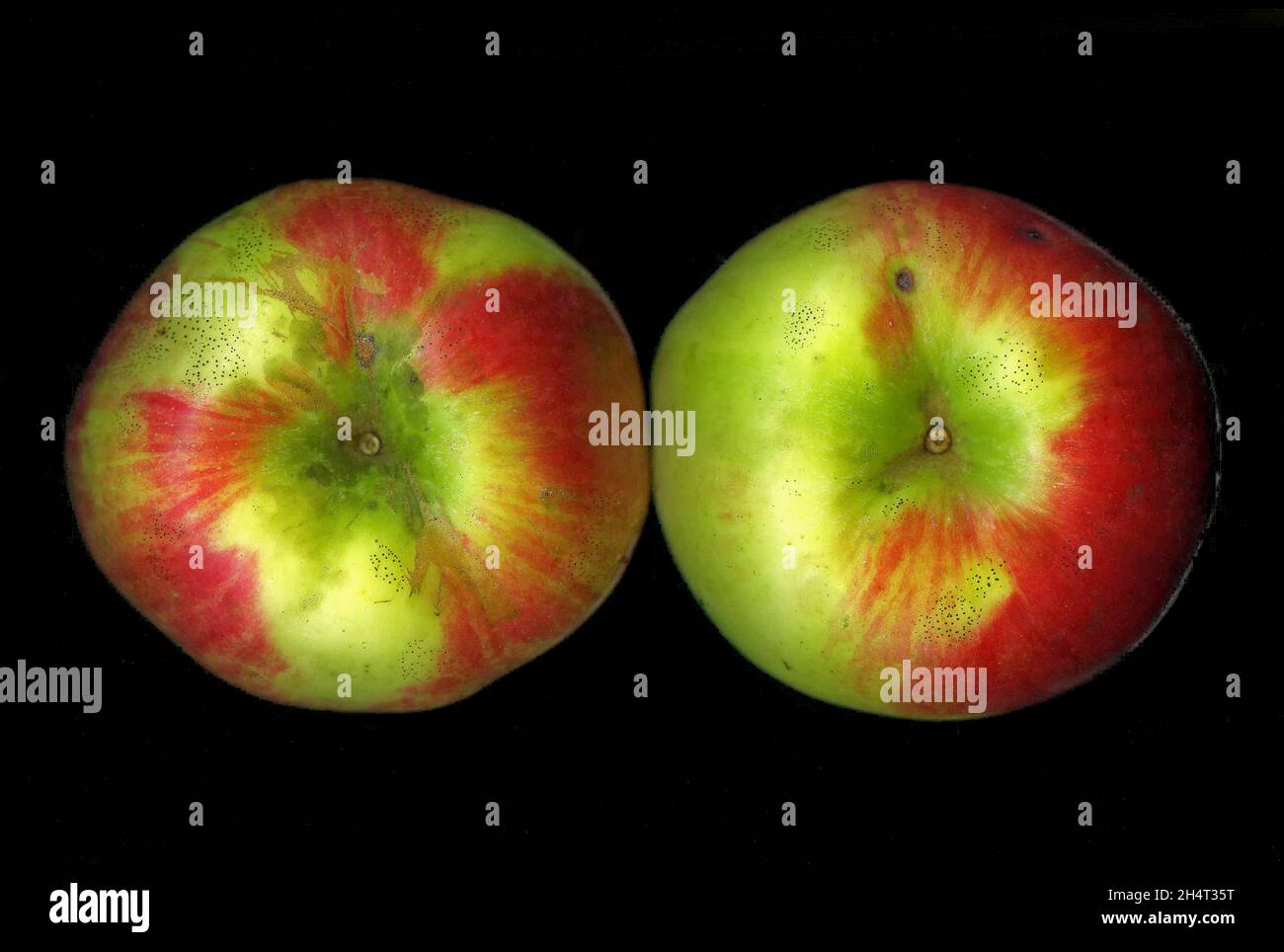 Two fruit forms hi-res stock photography and images - Alamy