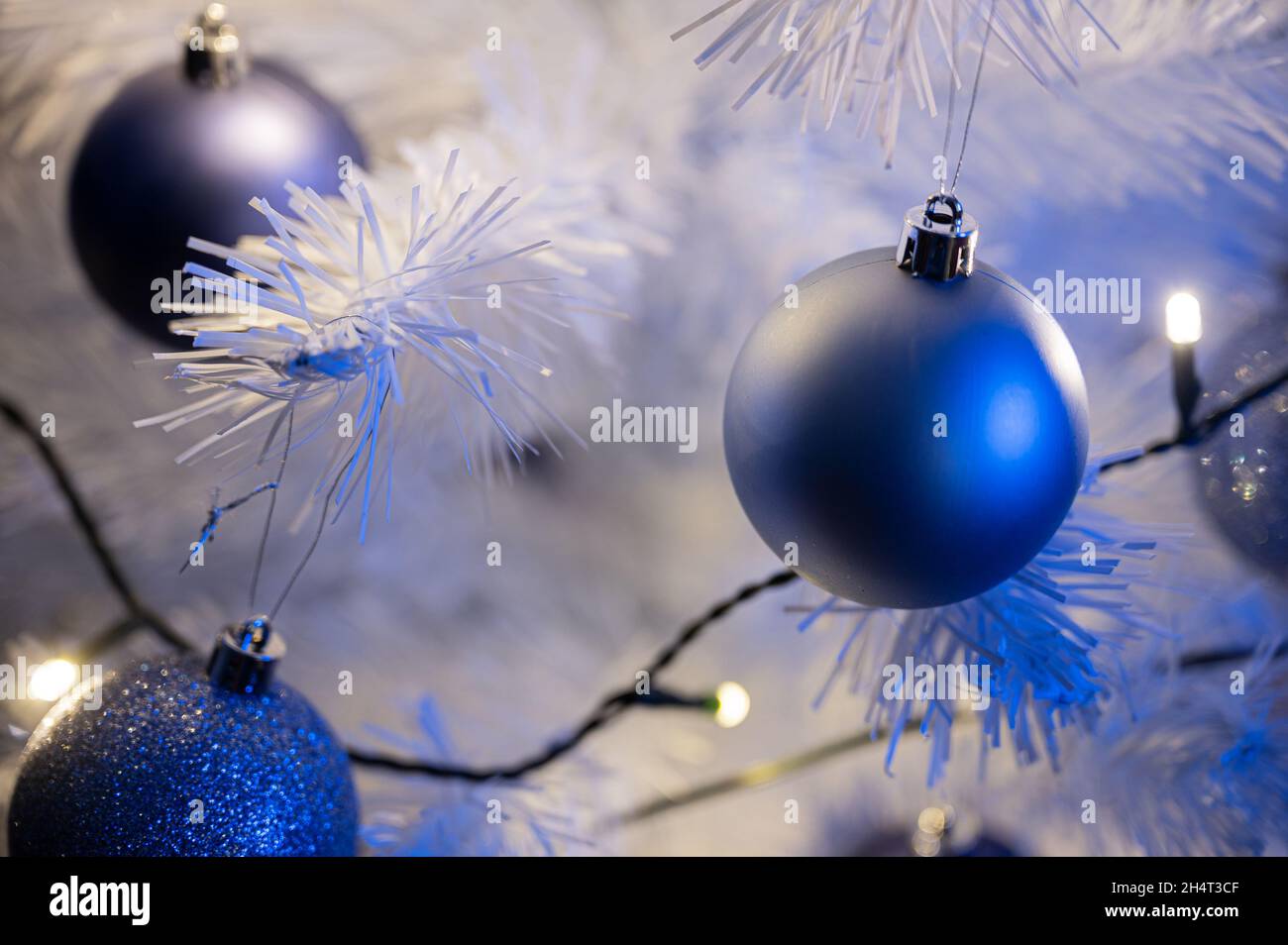 Closeup of beautiful shiny blue holiday baubles hanging on a white ...