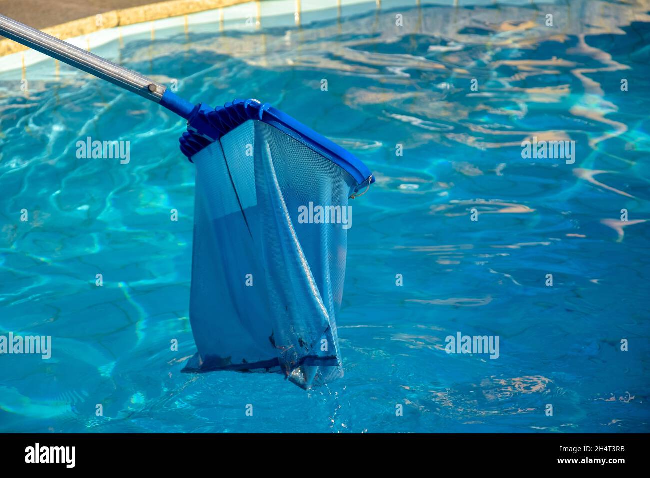 Cleaning pool from garbage with special net. Clear water with blue tint ...