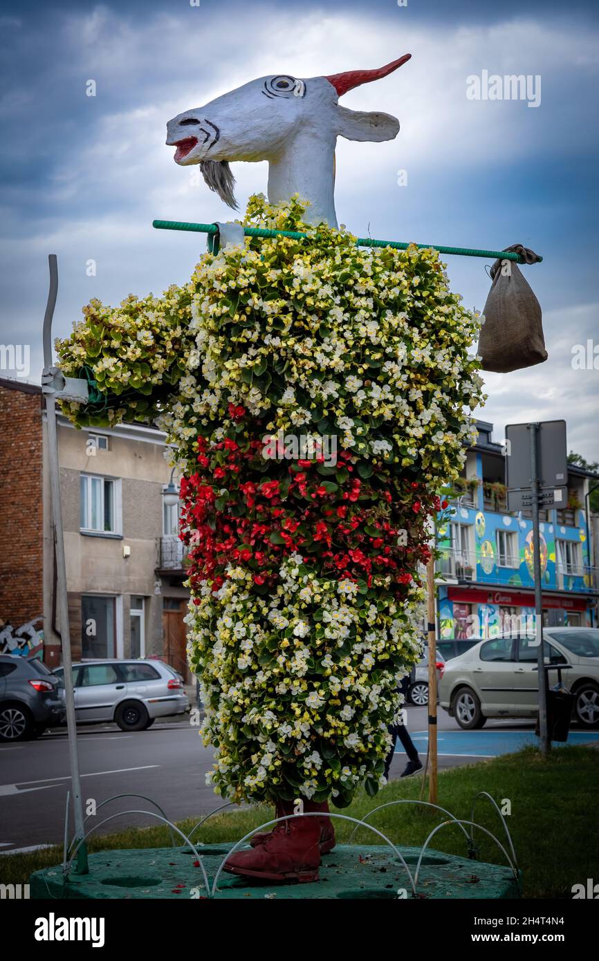 Matolek billy goat hi-res stock photography and images - Alamy