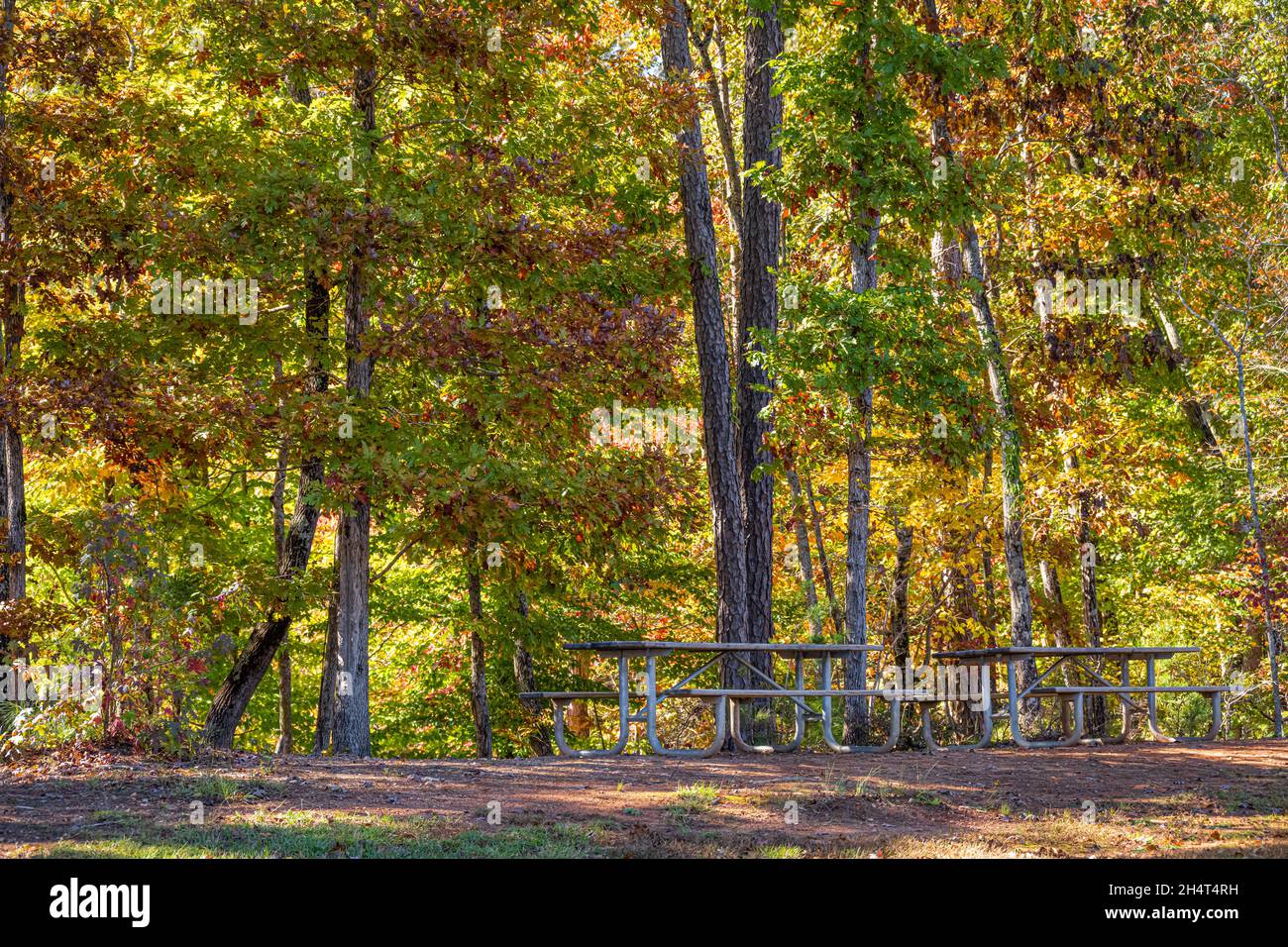 Picnic area with colorful autumn foliage at Don Carter State Park on ...