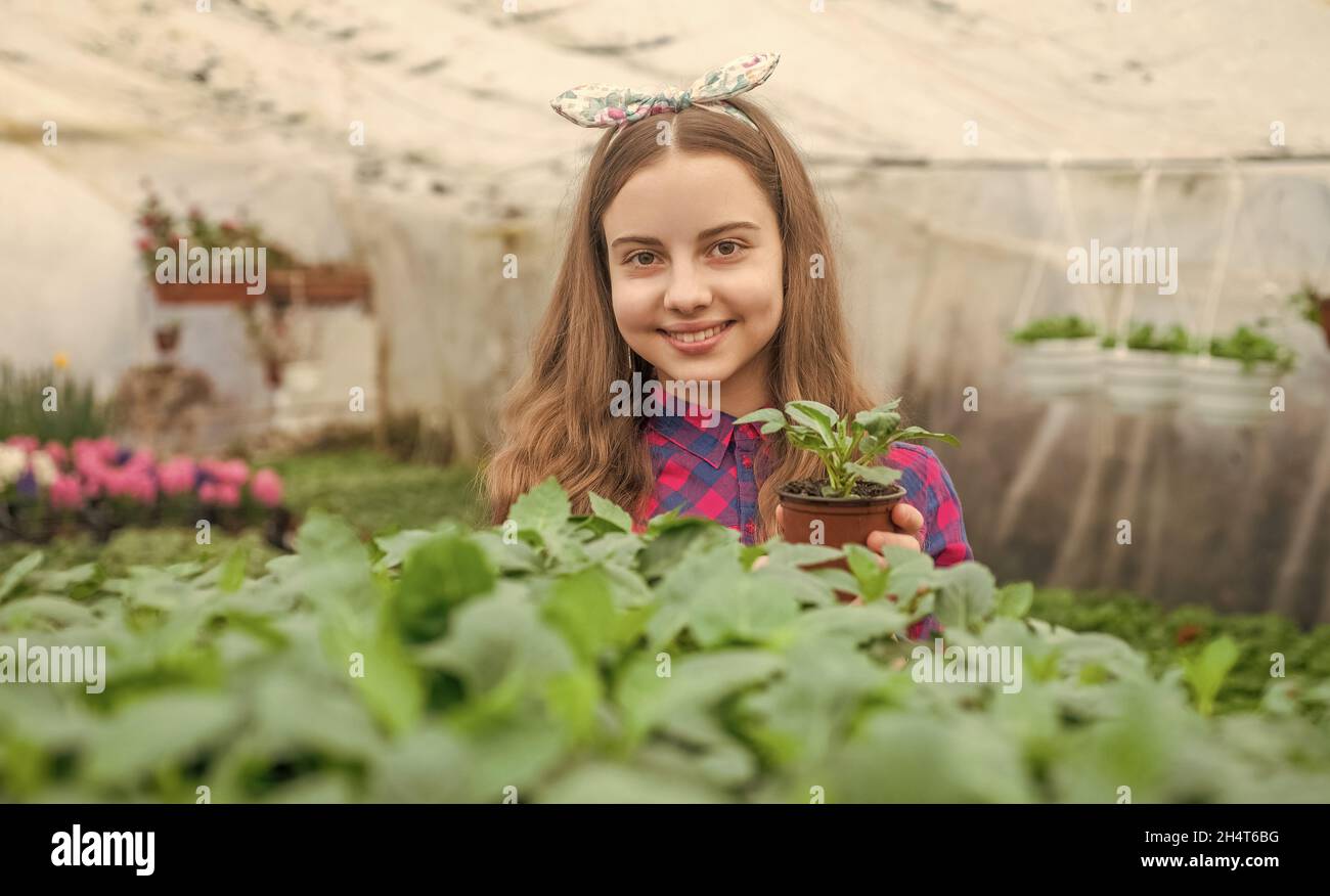 child gardener. flowers in garden. daily chores. flower care ...