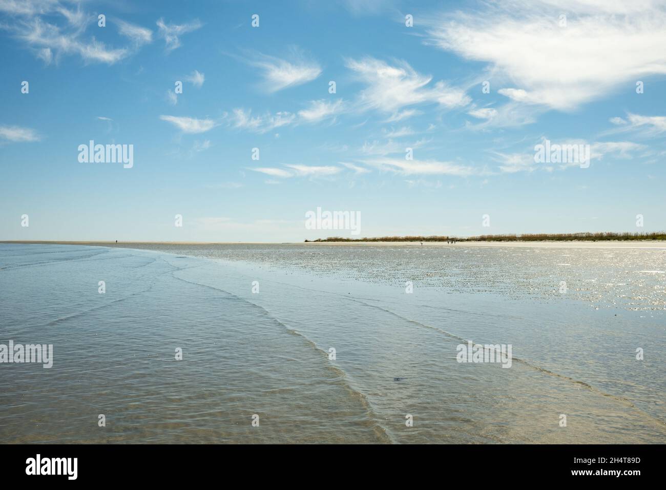 Harbor Island, located near Beaufort, South Carolina, is one of the ...