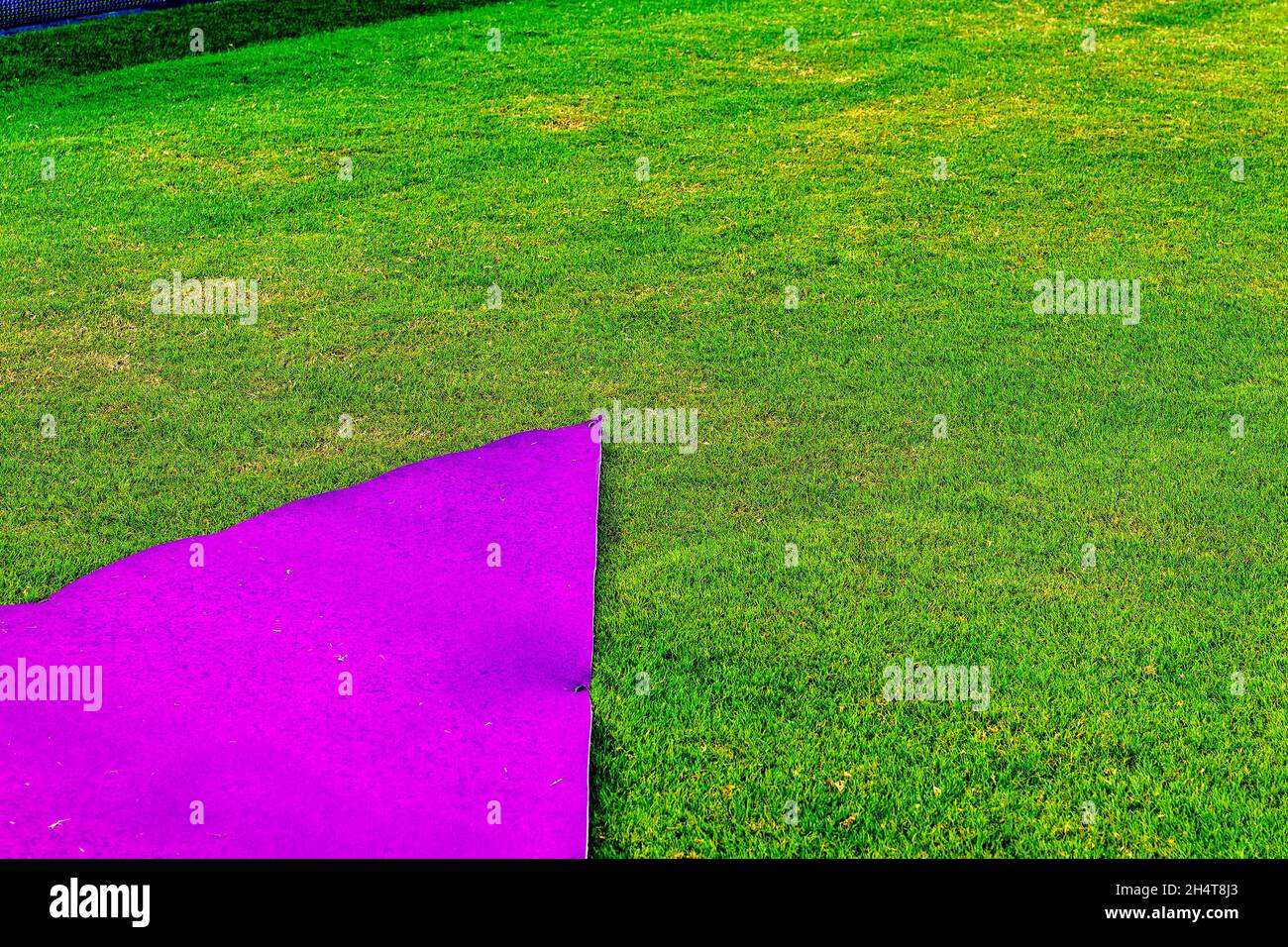Pitch carpet hi-res stock photography and images - Alamy