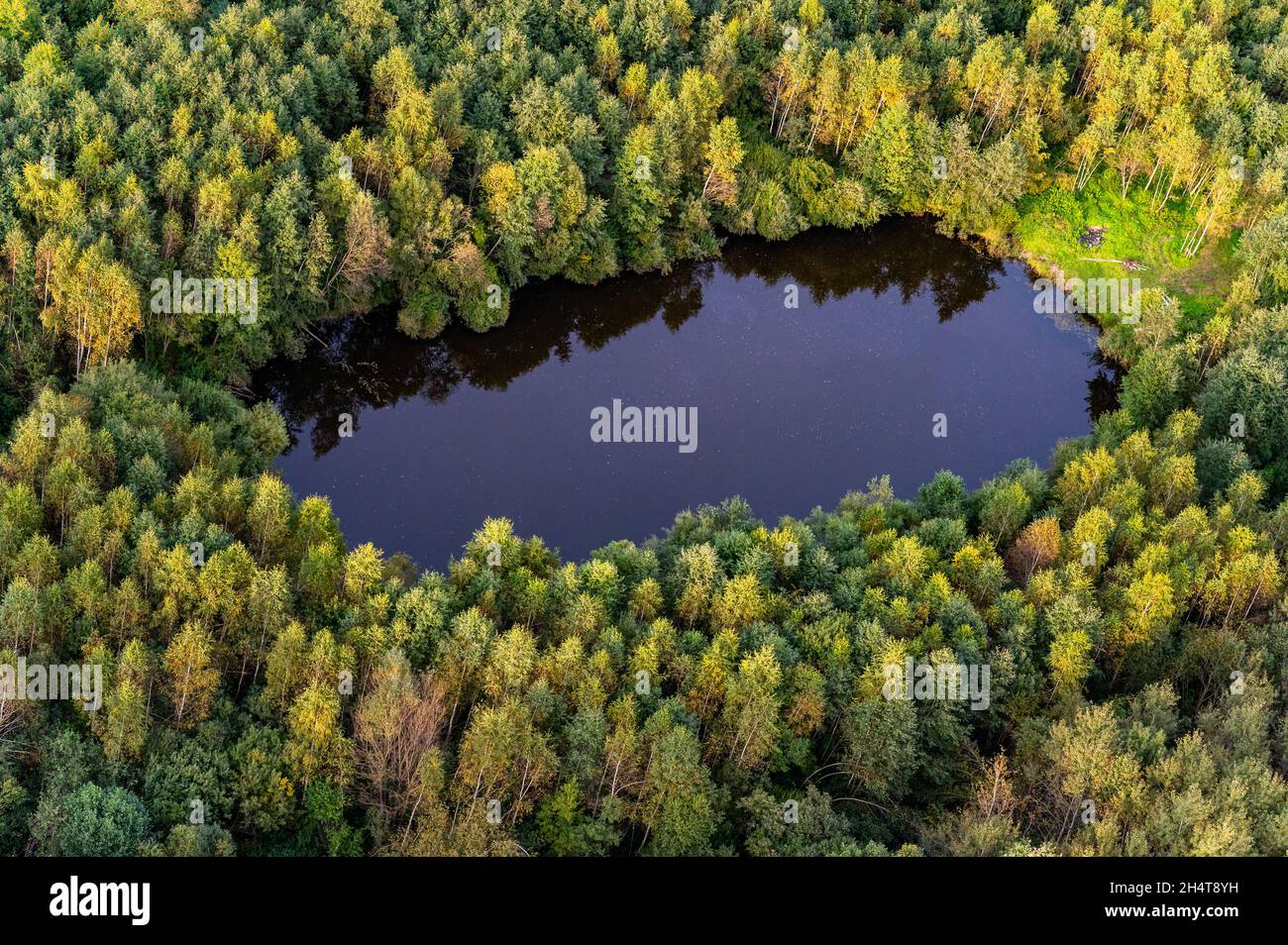 Aerial view on blue lake with cozy beach hidden in green Lithuanian ...