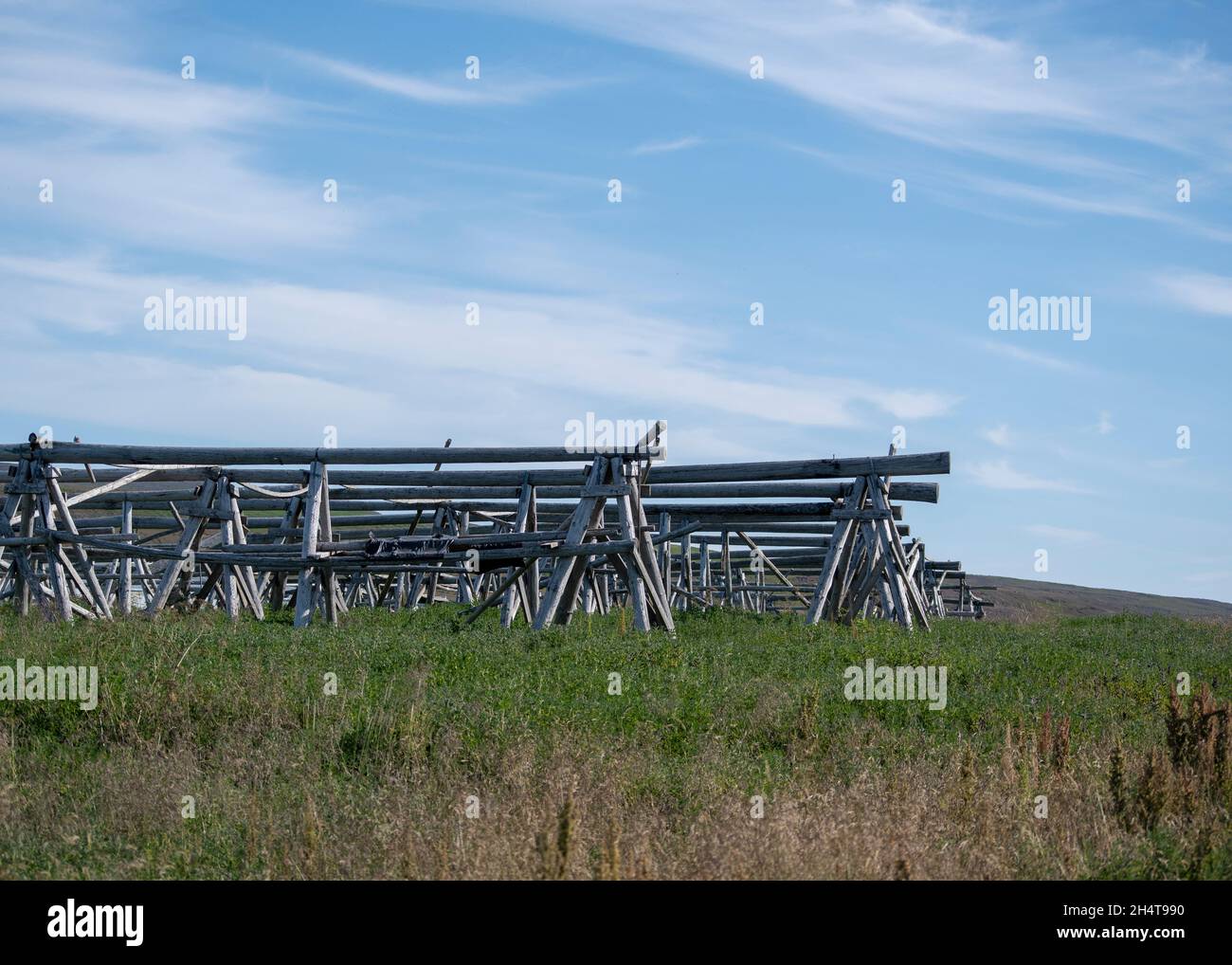 Empty fish racks hi-res stock photography and images - Alamy