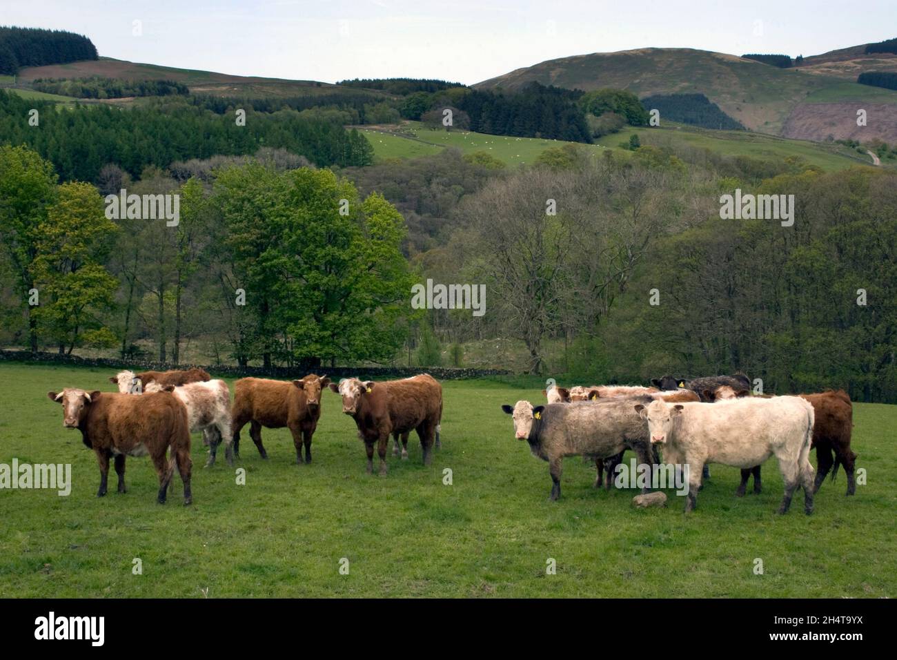Mixed fleet hi-res stock photography and images - Alamy