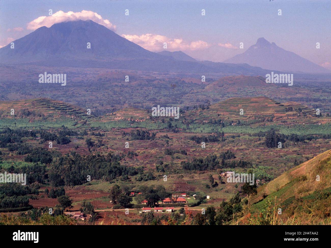 Mount Sabyinyo, Mount Visoke and Mount Mikeno, three of the Virungas ...