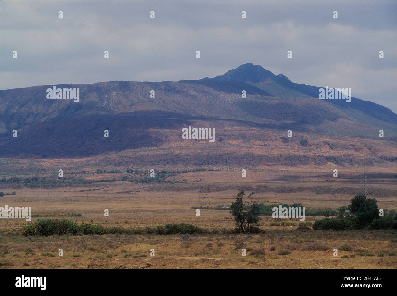 Mount Longonot on the Rift Valley, Kenya Stock Photo - Alamy