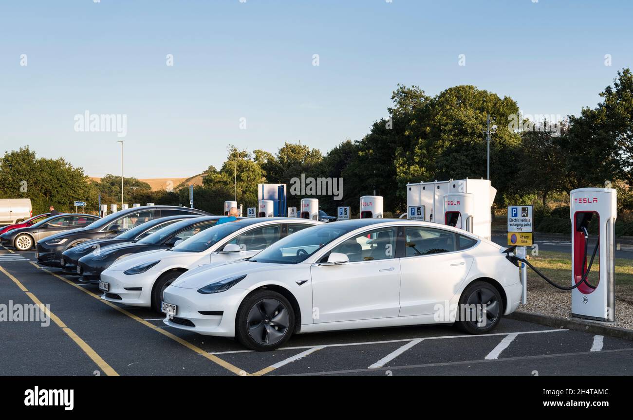 Line of Tesla electric cars on charge at a motorway service area on a ...
