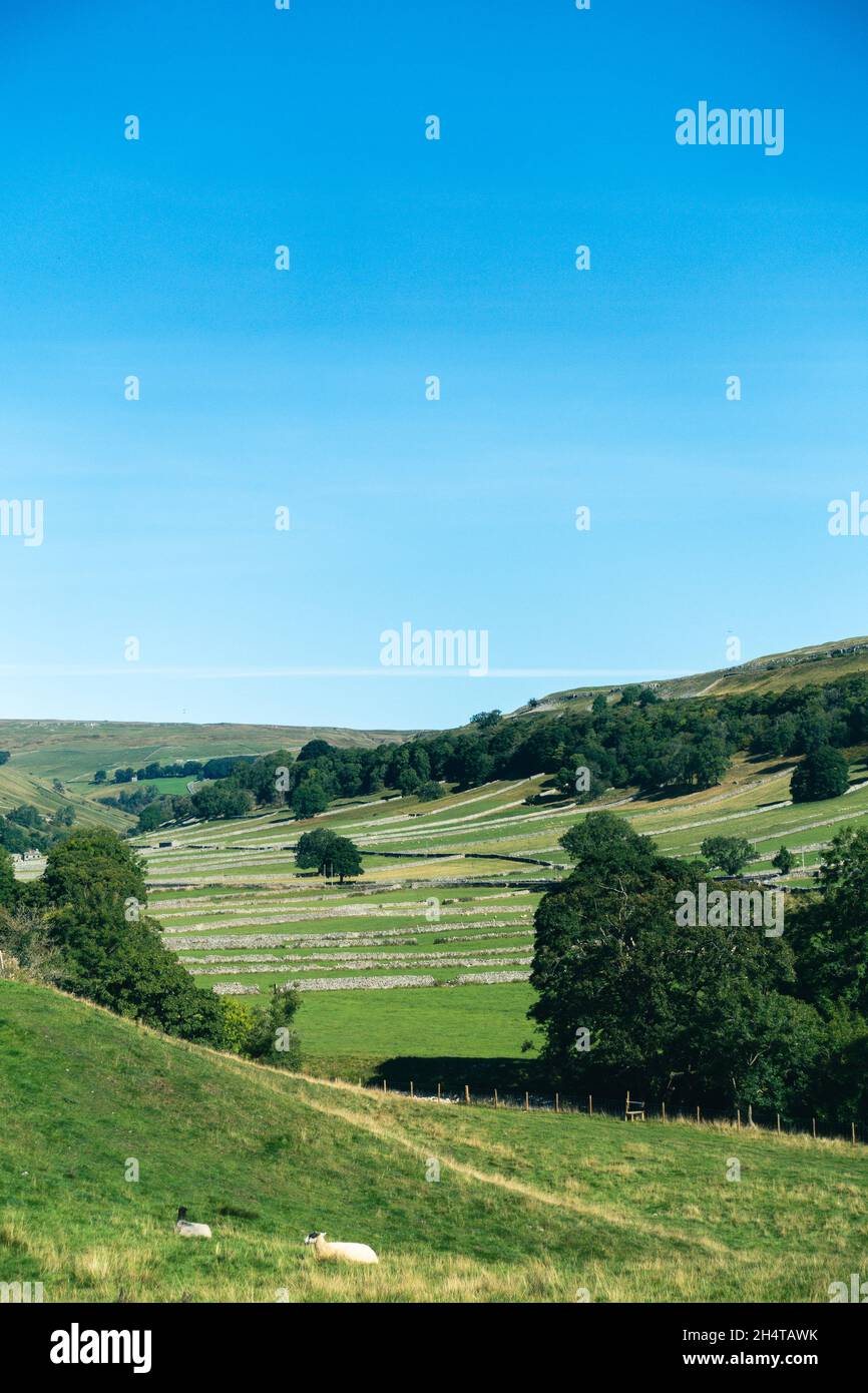 The head of the Wharfedale valley, looking to Kettlewell across ...