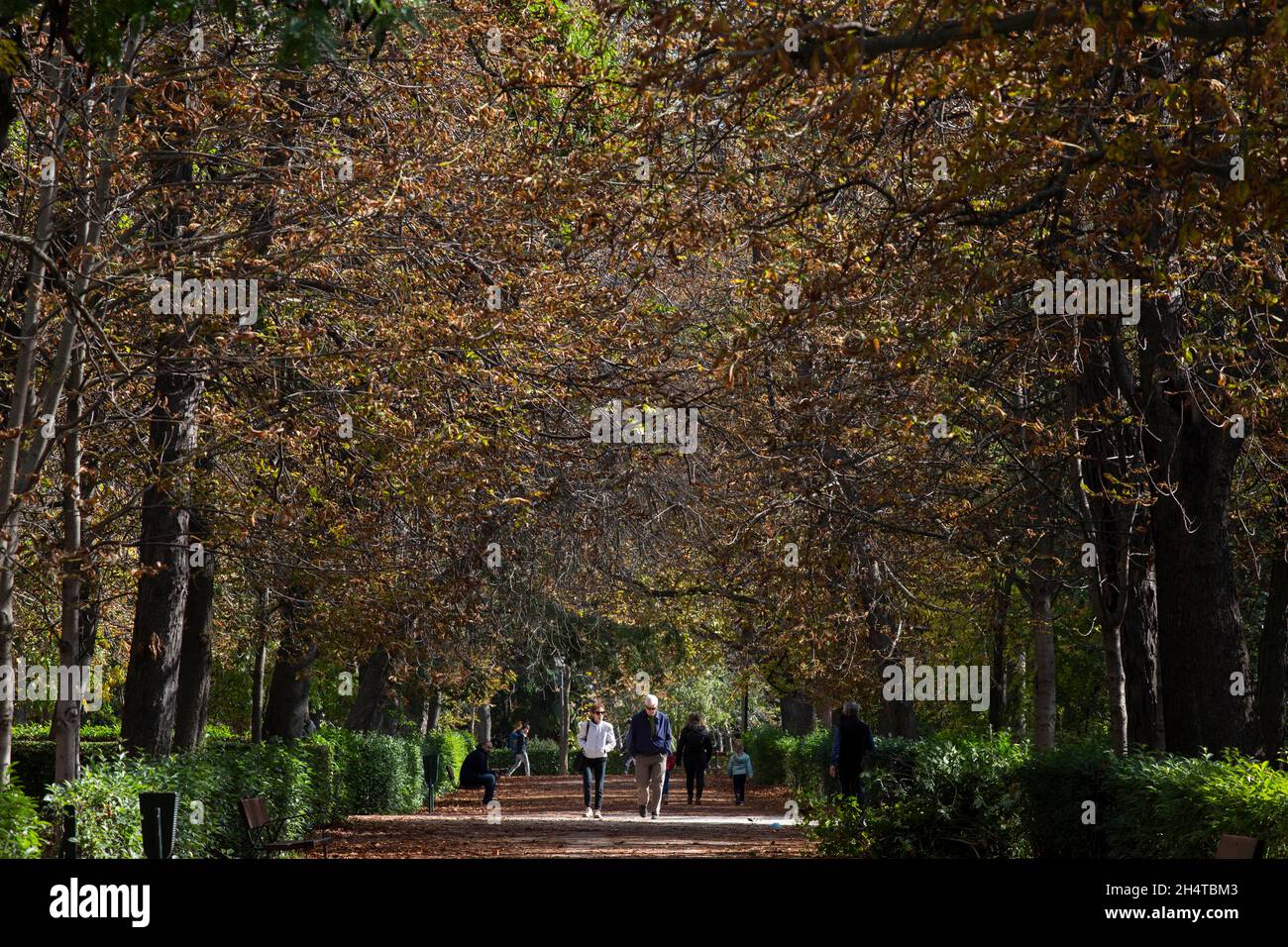 People walk along a leafy path in El Retiro park, during autumn season ...