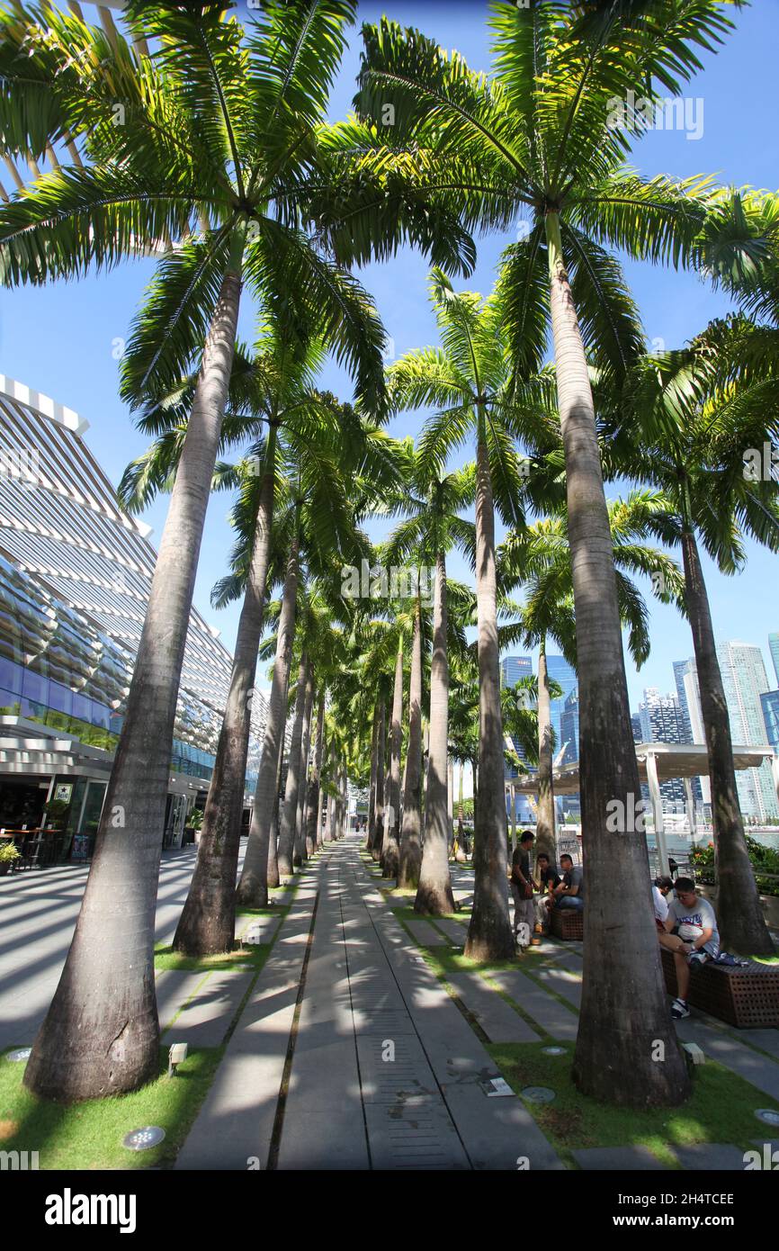 Trees in a shopping mall hi-res stock photography and images - Alamy