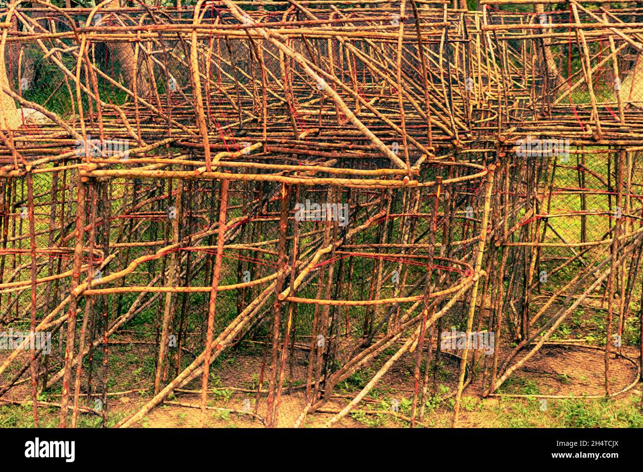 A square-shaped fishpot (fyke hoop net) is dried for catching river ...