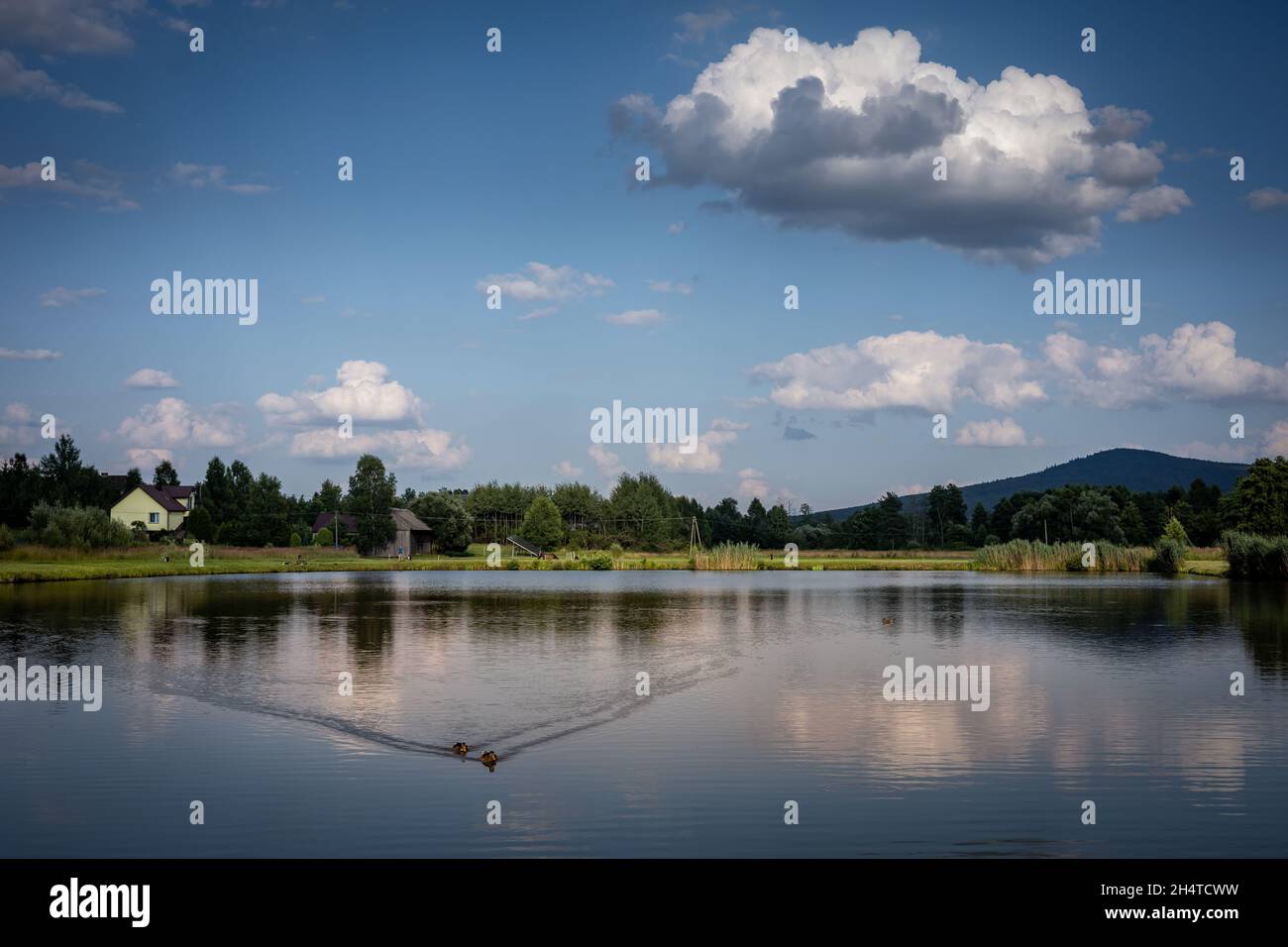 A calm lake view with Lysica Mountain in background. Ciekoty ...