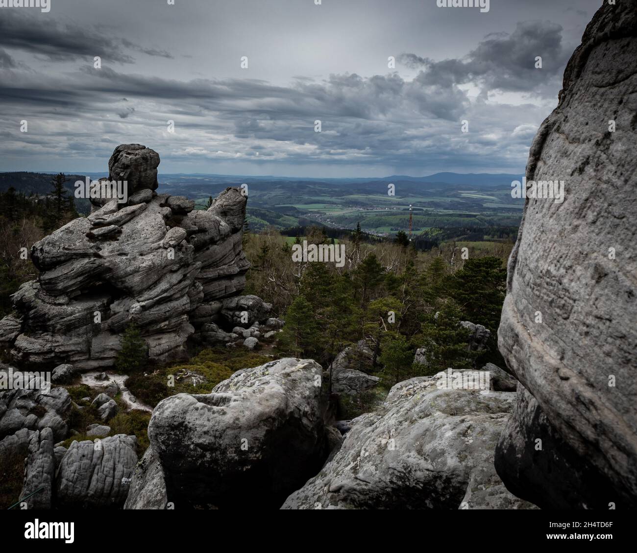 Tron liczyrzepy hi-res stock photography and images - Alamy