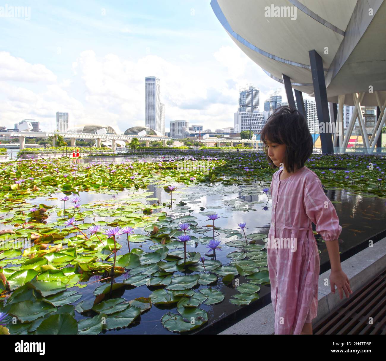 A young girl walking beside a lili pond at the ArtScience Museum in ...