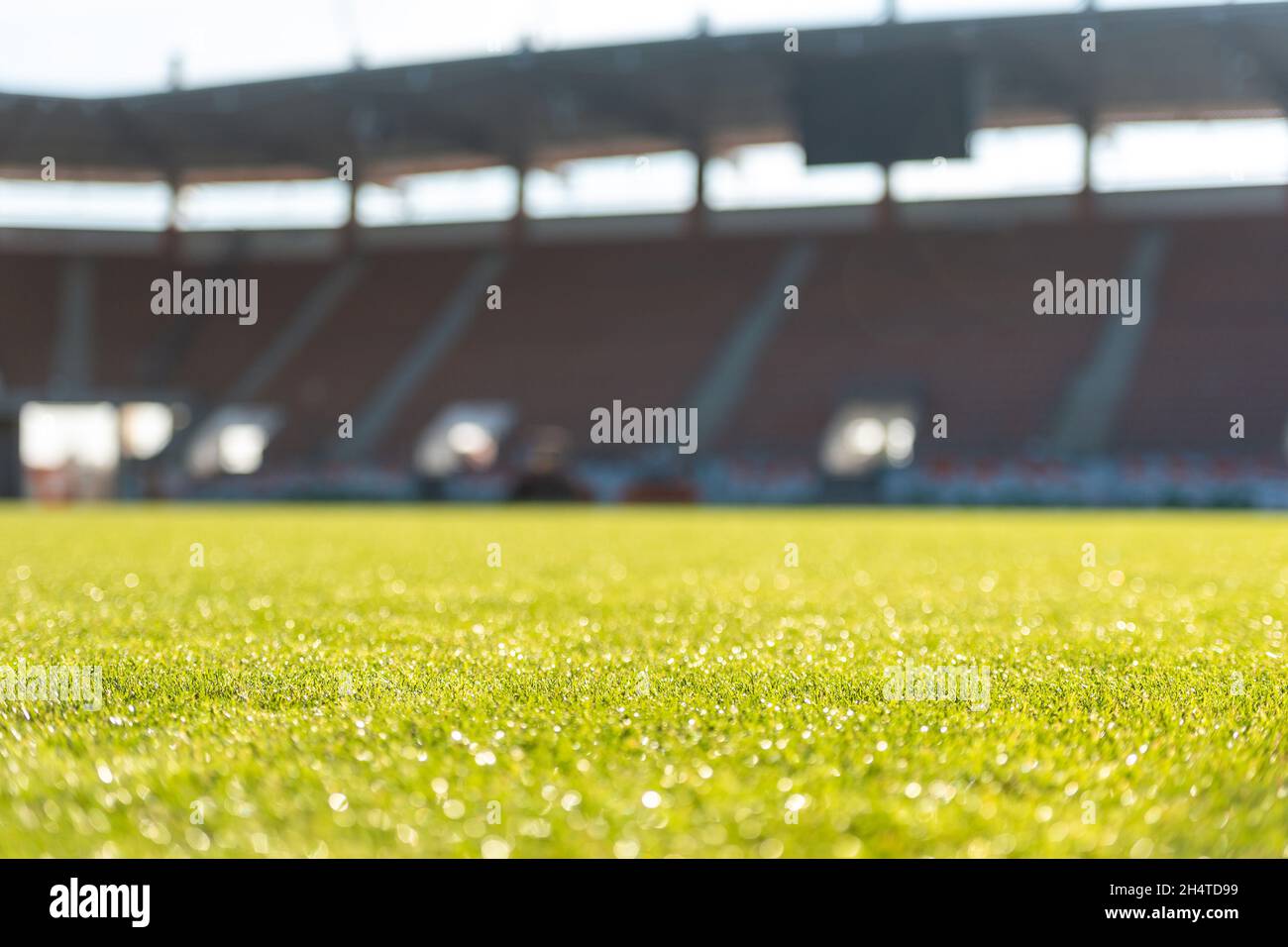 Football ground watering hi-res stock photography and images - Alamy