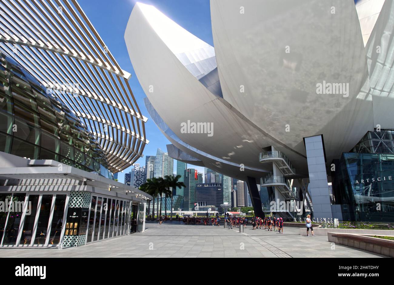 Artscience museum marina bay sands hi-res stock photography and images - Alamy
