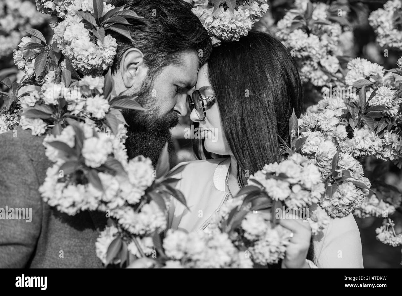 Spring flowers apple trees Black and White Stock Photos & Images - Alamy