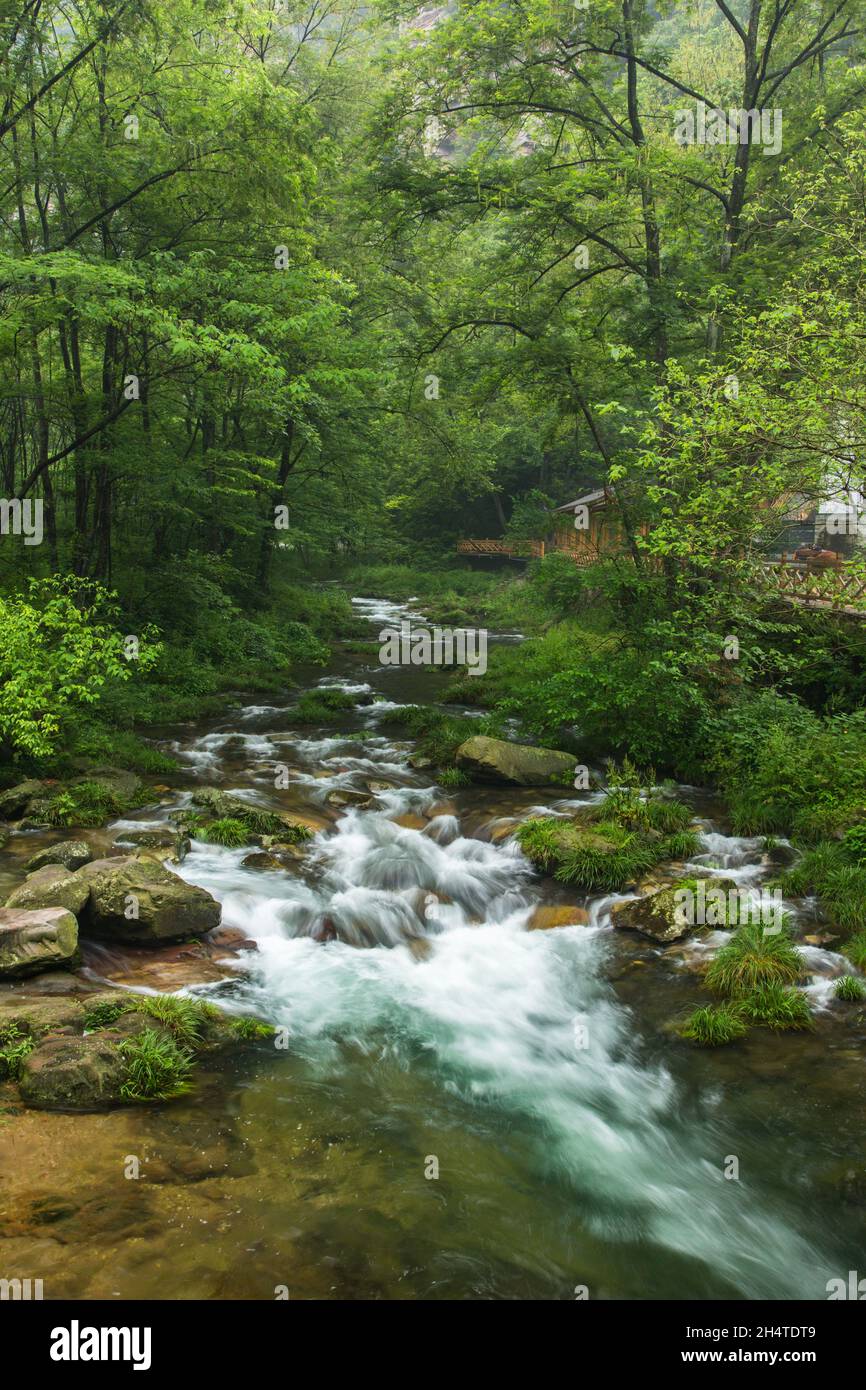 The Yellow Whip Stream in Zhangjiajie National Forest Park in Hunan ...