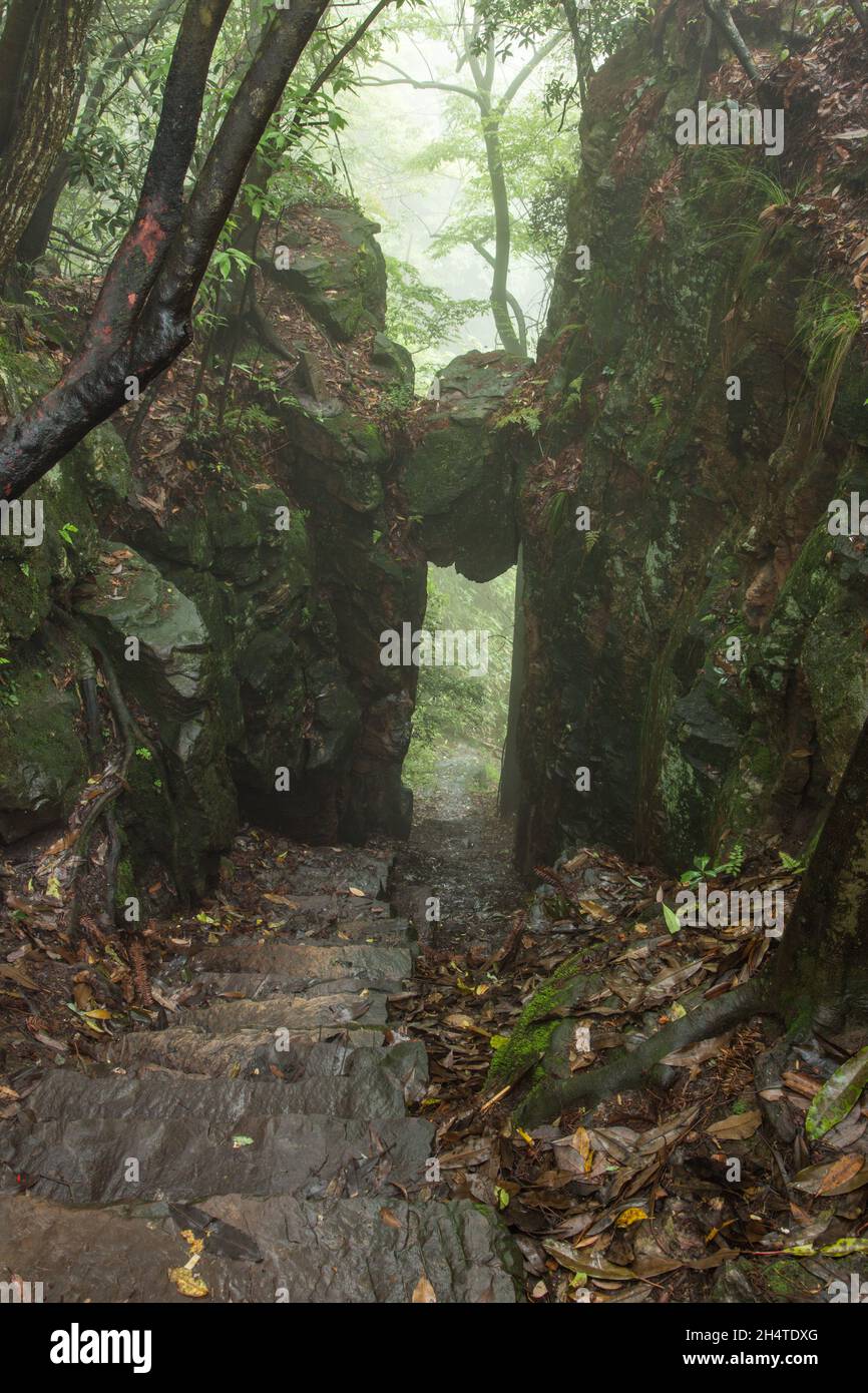 A stone pathway to a viewpoint in the Tianzi Mountain area of ...
