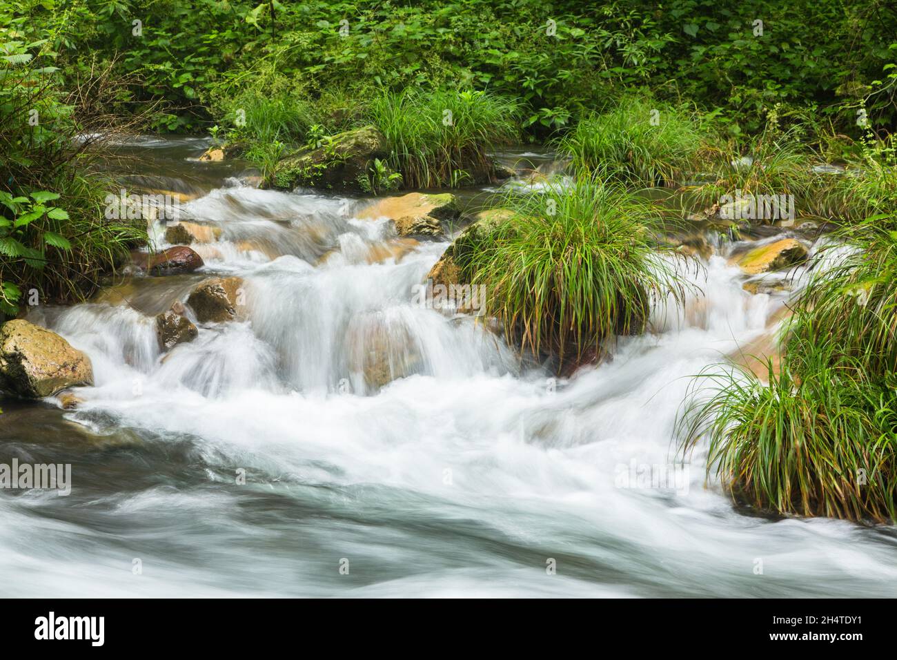 The Yellow Whip Stream in Zhangjiajie National Forest Park in Hunan ...