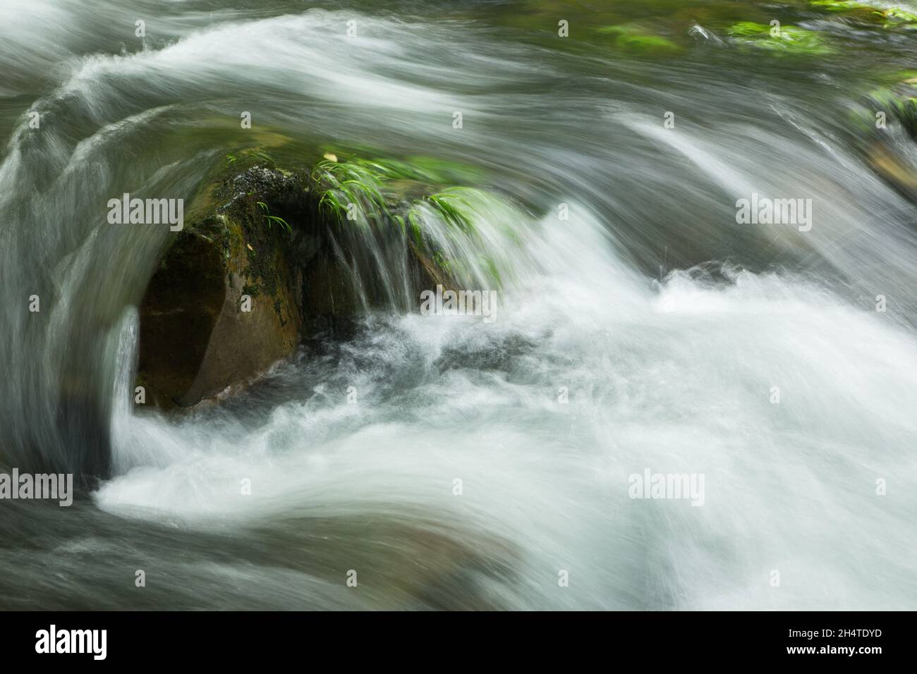 Detail of the Yellow Whip Stream in Zhangjiajie National Forest Park in ...