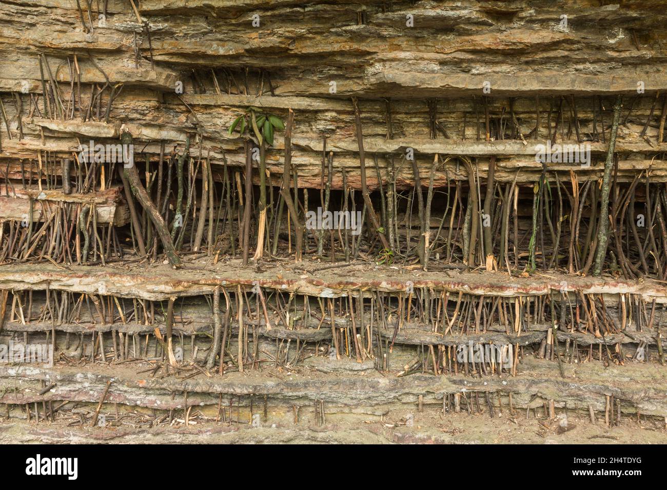 Wishing sticks wedged between layers of rock by Chinese tourists in ...