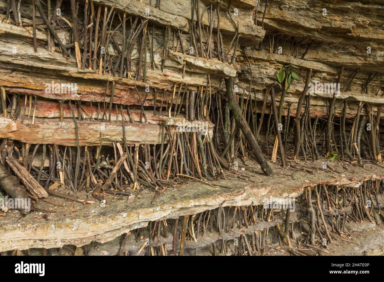 Wishing sticks wedged between layers of rock by Chinese tourists in ...