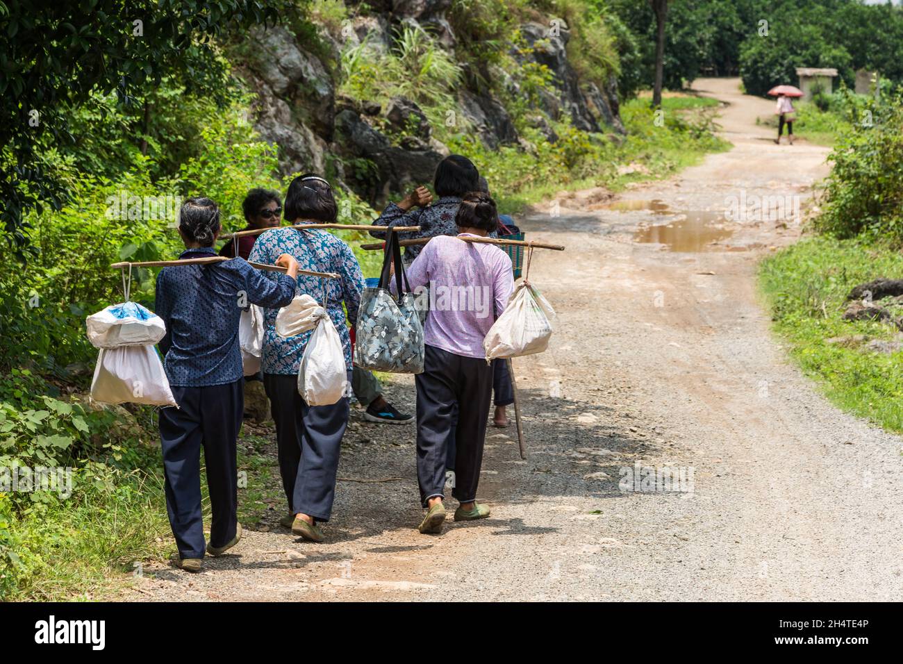 Shoulder yokes hi-res stock photography and images - Alamy