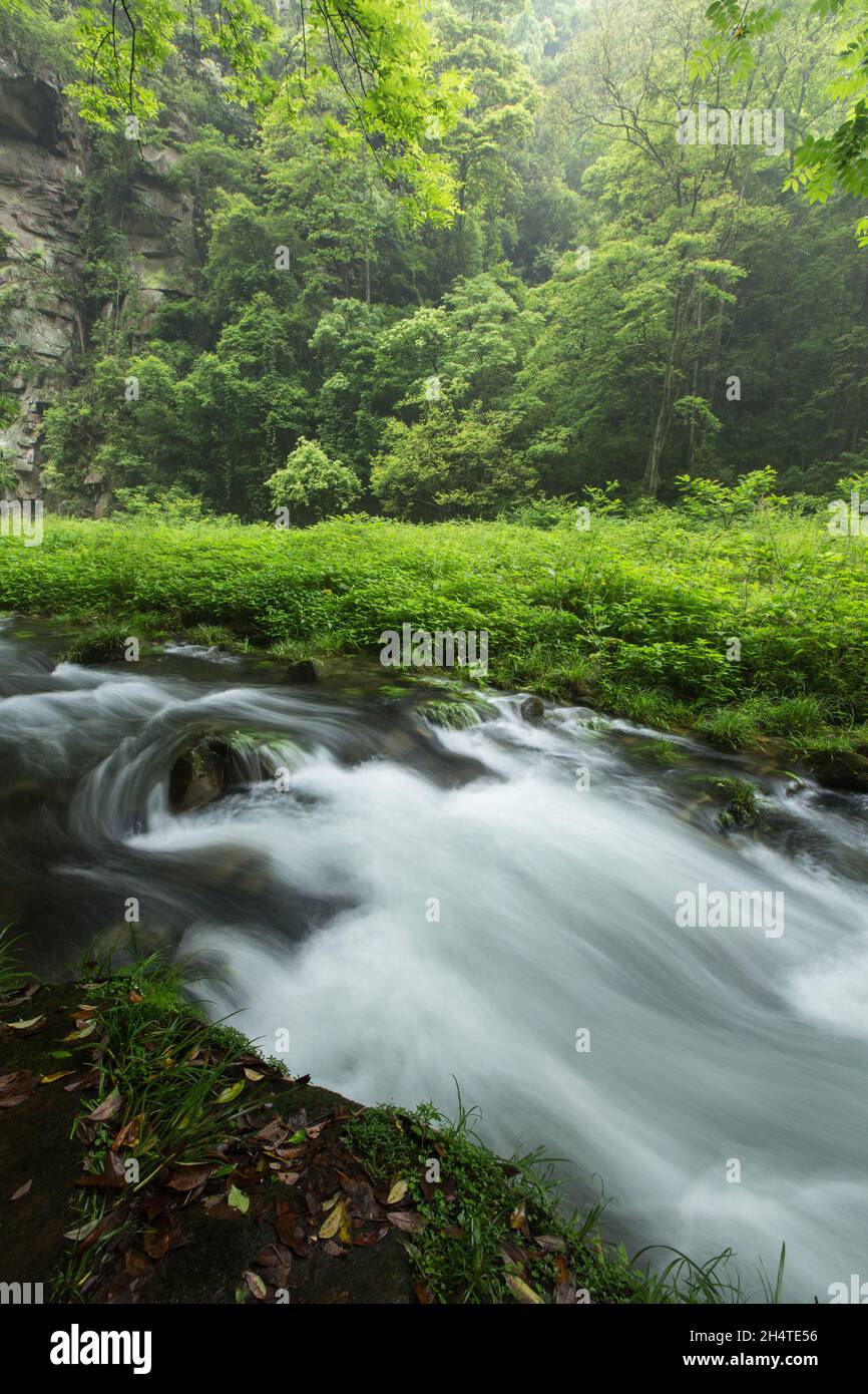 The Yellow Whip Stream in Zhangjiajie National Forest Park in Hunan ...