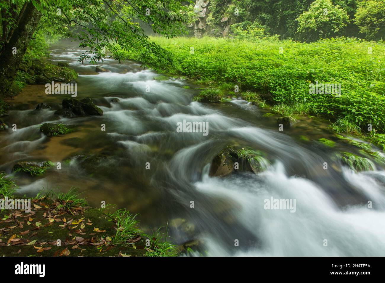 The Yellow Whip Stream in Zhangjiajie National Forest Park in Hunan ...