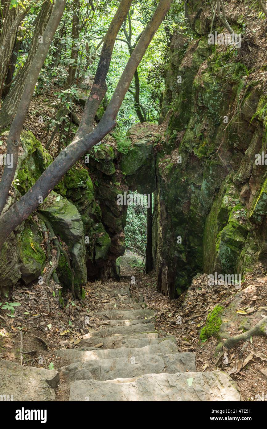 A stone pathway to a viewpoint in the Tianzi Mountain area of ...