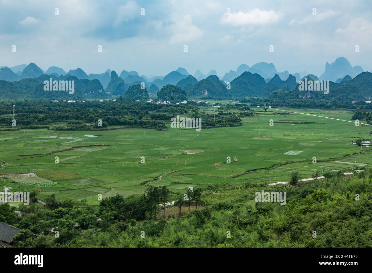 Rice fields and forested limestone karst hills in the valley of the Li ...