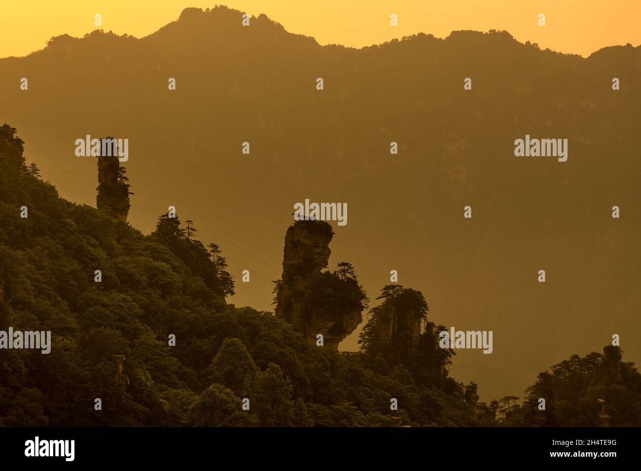Fairy Dispersing Flowers Peak silhouetted in the Tianzi Mountain area ...