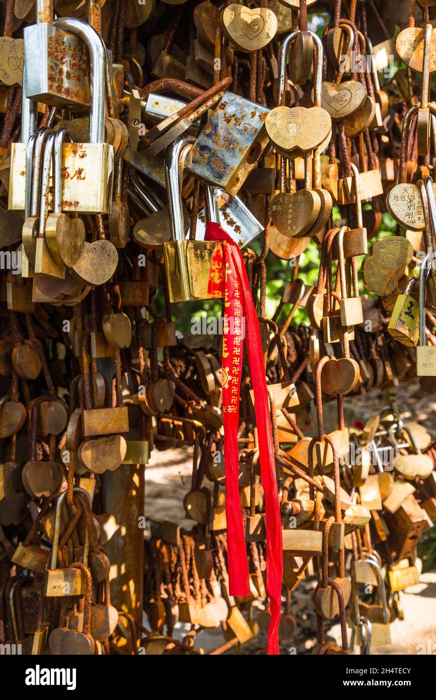Traditional love locks signifying romantic relationships on bars in ...