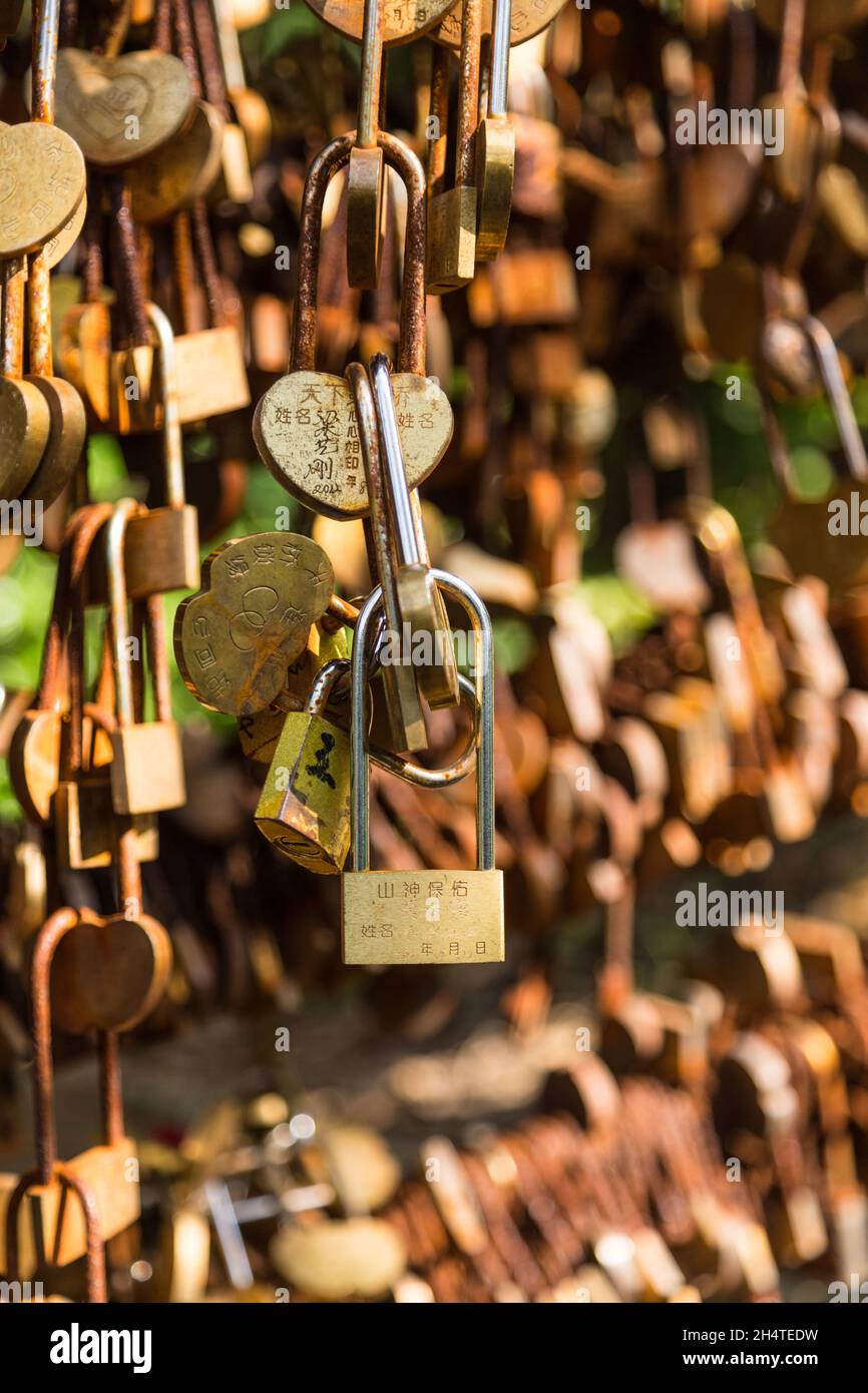 Traditional love locks signifying romantic relationships on bars in ...