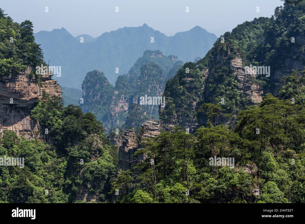 Rock formations on the Corridor in the Cliffs trail in Yangjiajie ...