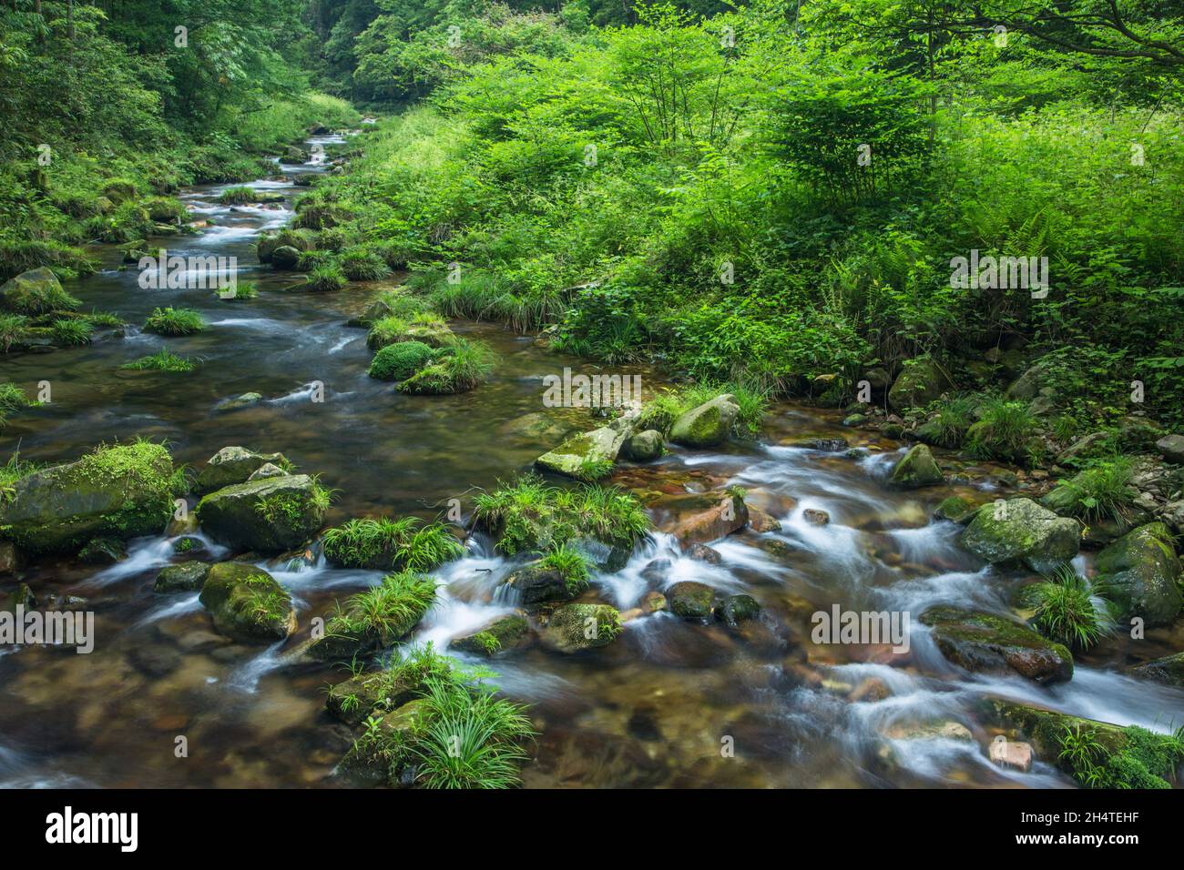The Yellow Whip Stream in Zhangjiajie National Forest Park in Hunan ...