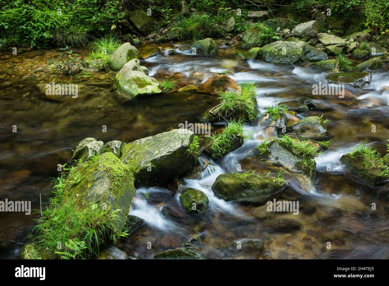 Detail of the Yellow Whip Stream in Zhangjiajie National Forest Park in ...