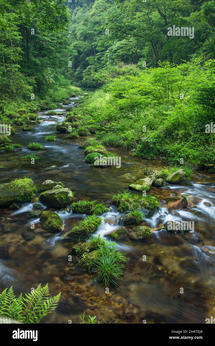The Yellow Whip Stream in Zhangjiajie National Forest Park in Hunan ...