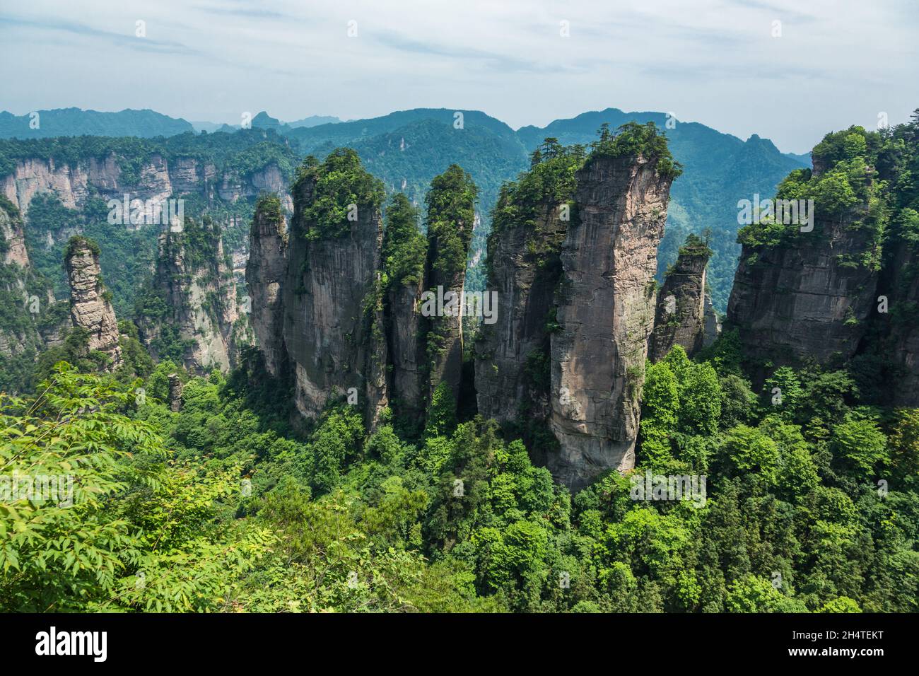 A cluster of sandstone pillars called Five Finger Peak in the Huangshi ...