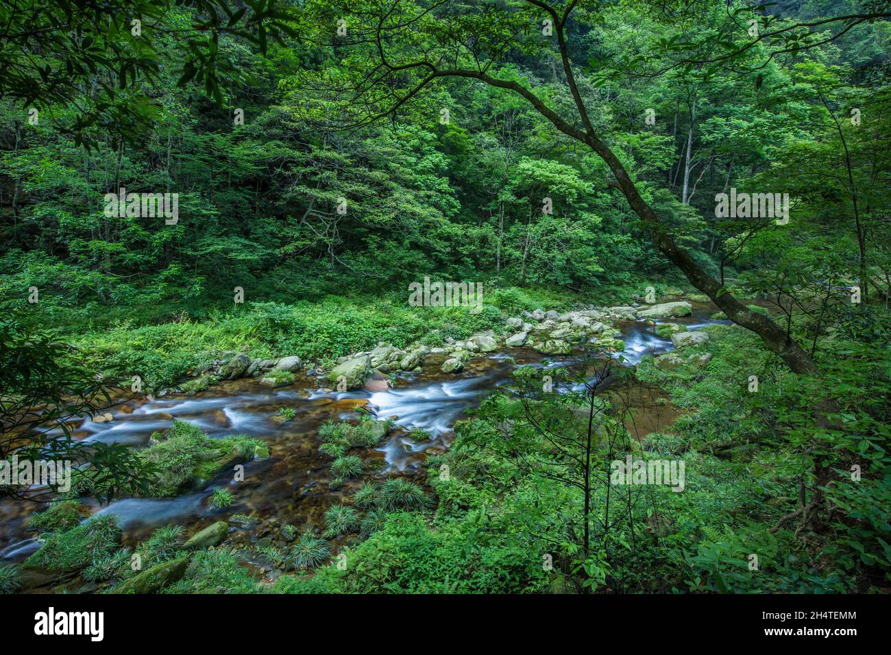 The Yellow Whip Stream in Zhangjiajie National Forest Park in Hunan ...