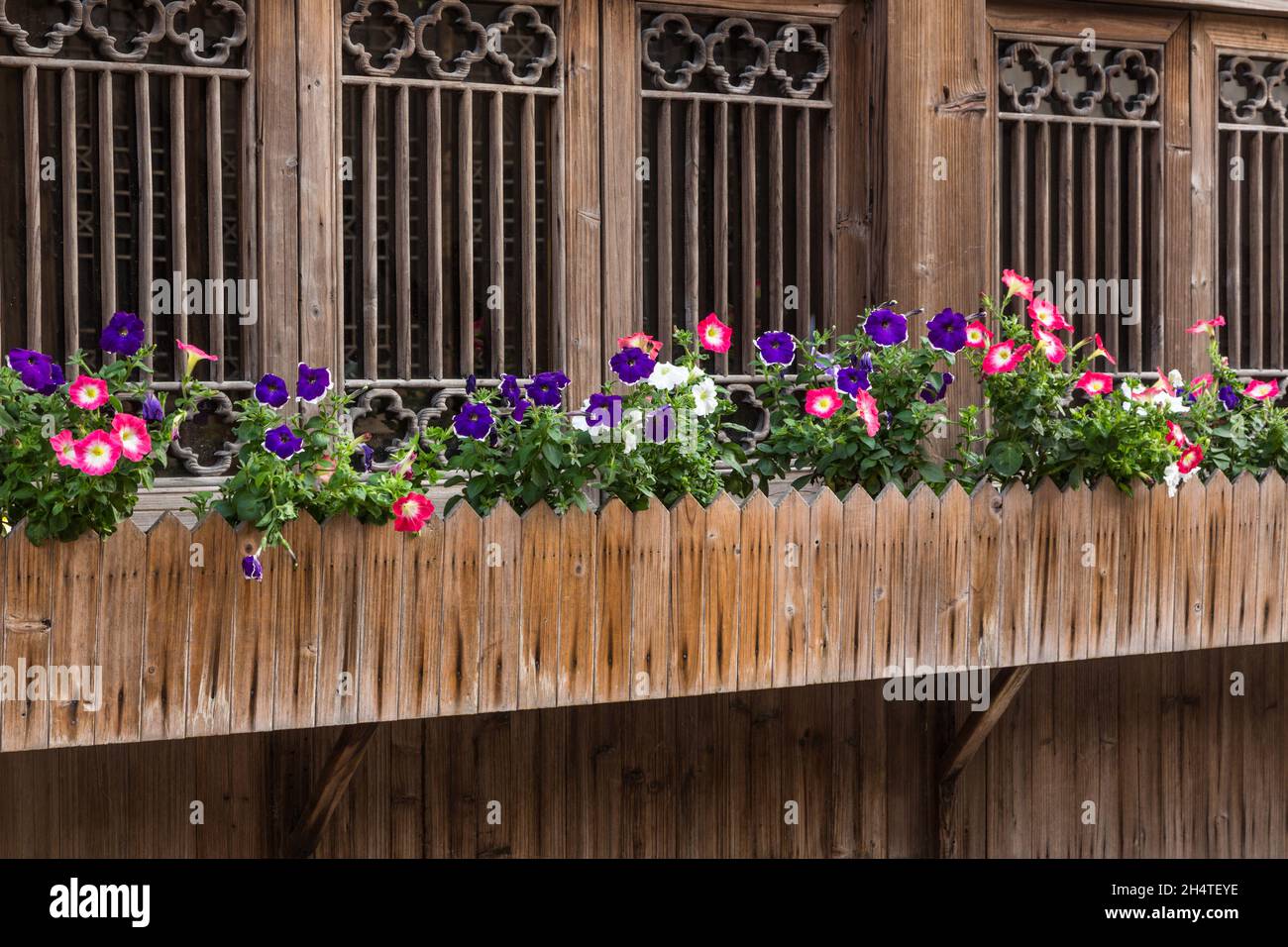 A planter box of colorful flowers beneath traditional wooden lattice ...