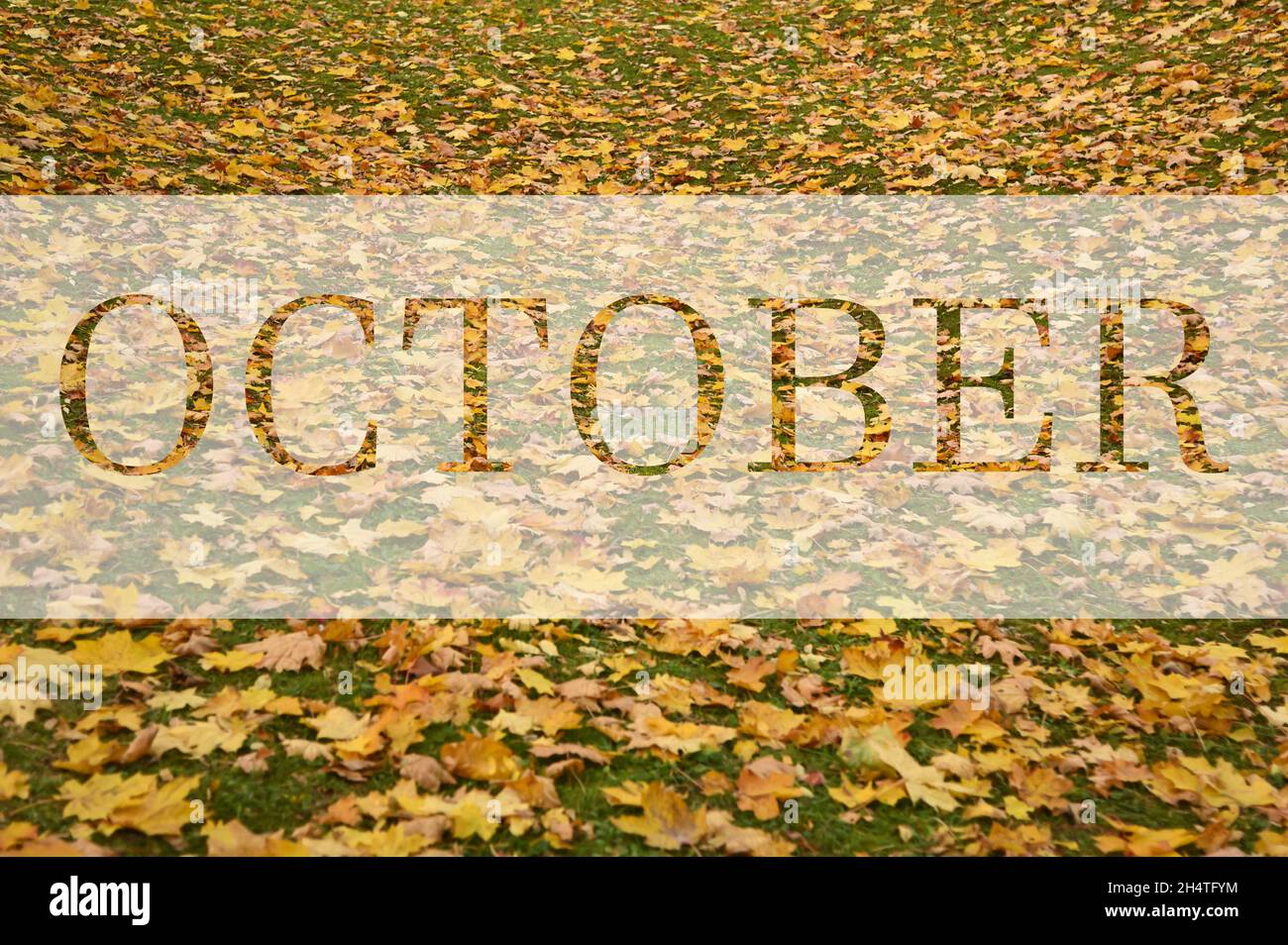 Decorative word poster hi-res stock photography and images - Alamy