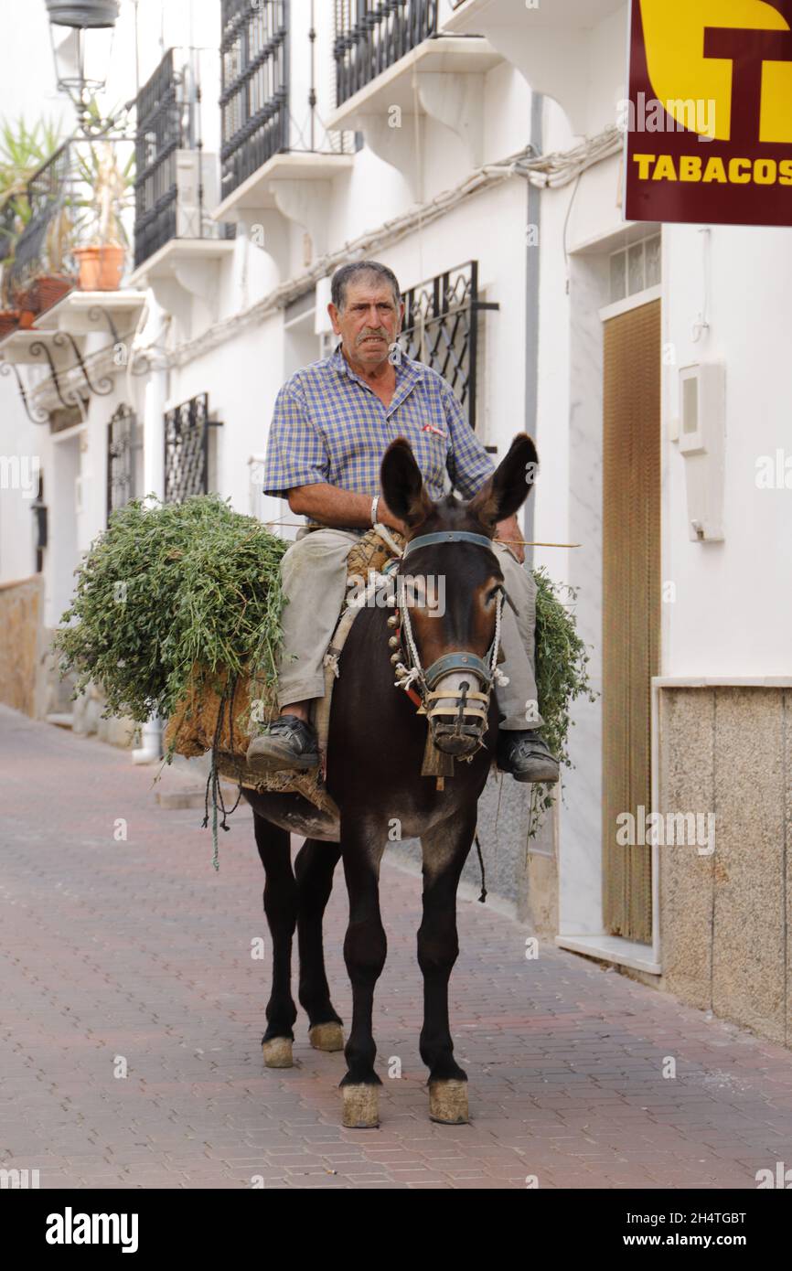 A man on a donkey rides through the streets of the village Albanchez ...